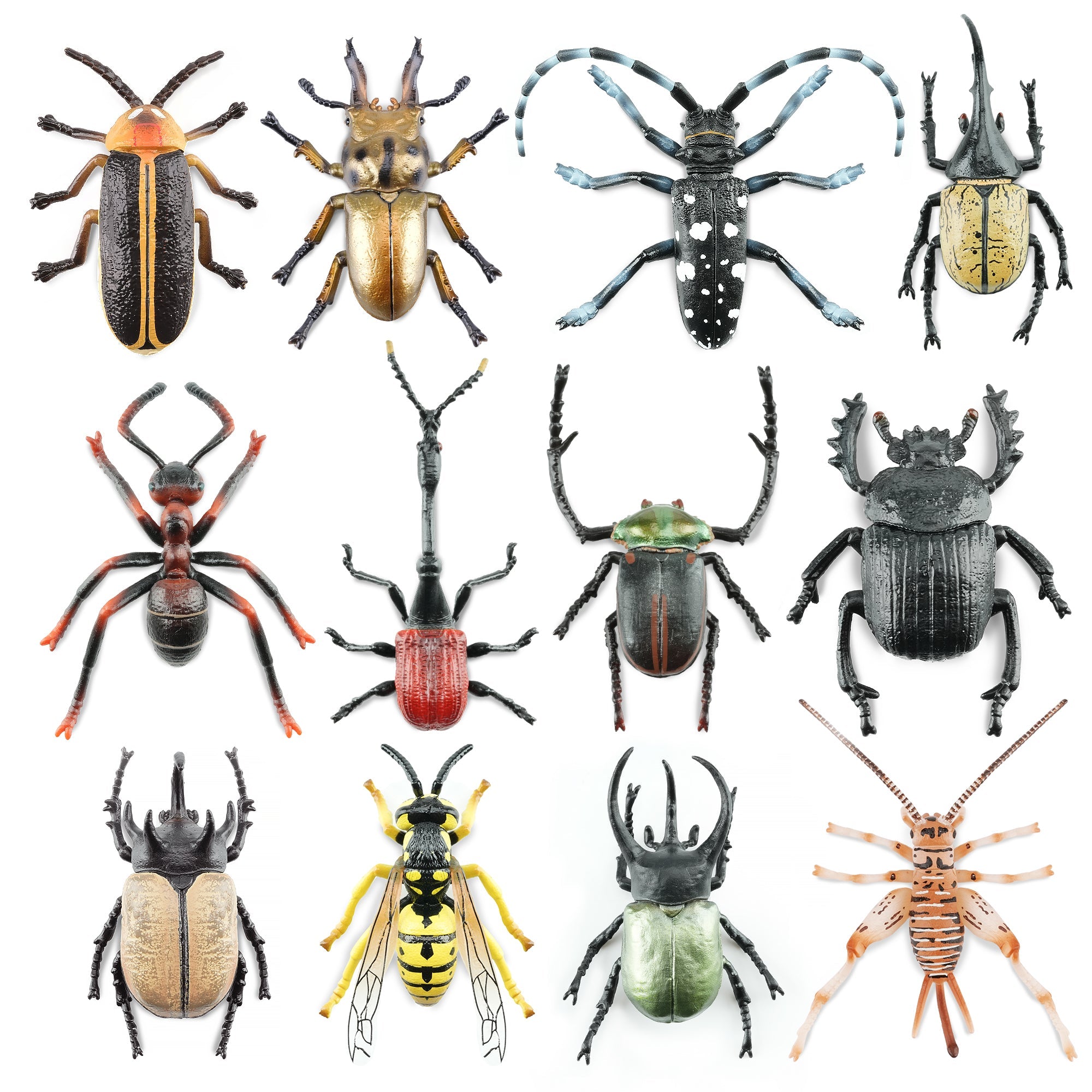Toymany Fresh Finds | New Insect & Beetle Figurines Collection