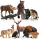 12PCS North American Forest Animal Figurines Playset | Animal Figurine