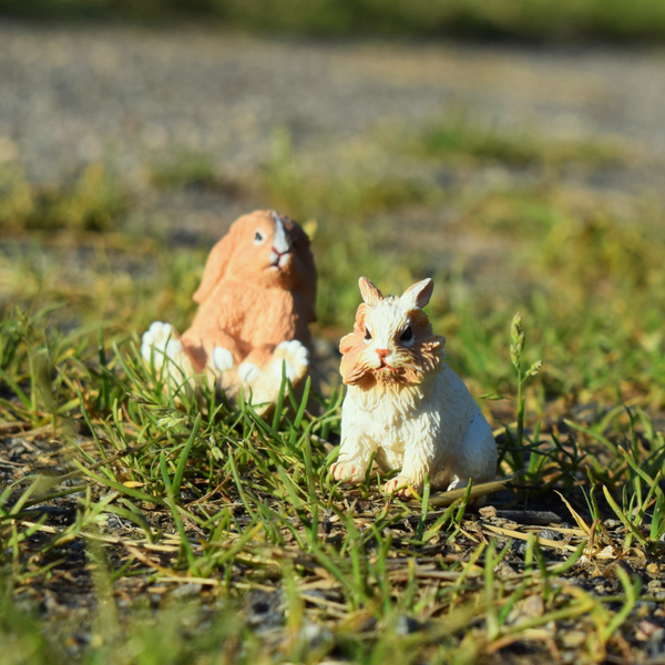 Grey Fox Figurine: Agile Forest Climber & Nocturnal Forager | Toymany