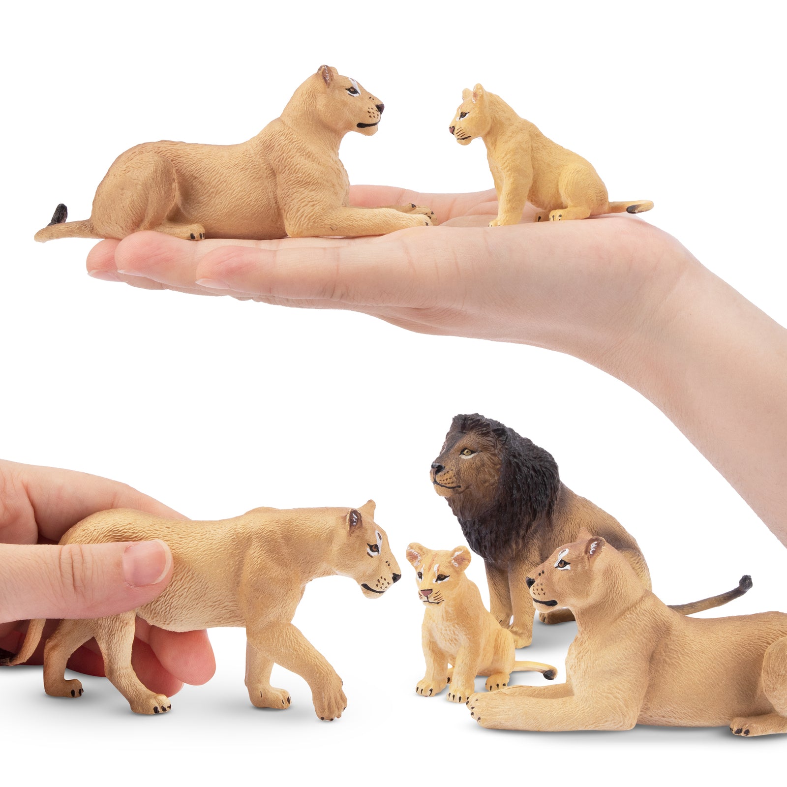 Toymany 6PCS Lion Figurines Playset | Animal Figurine Toy