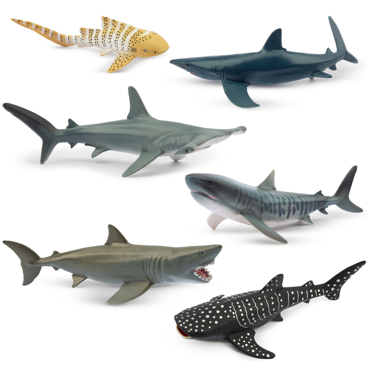 Toymany 6PCS Shark Figurines Playset | Animal Figurine Toy