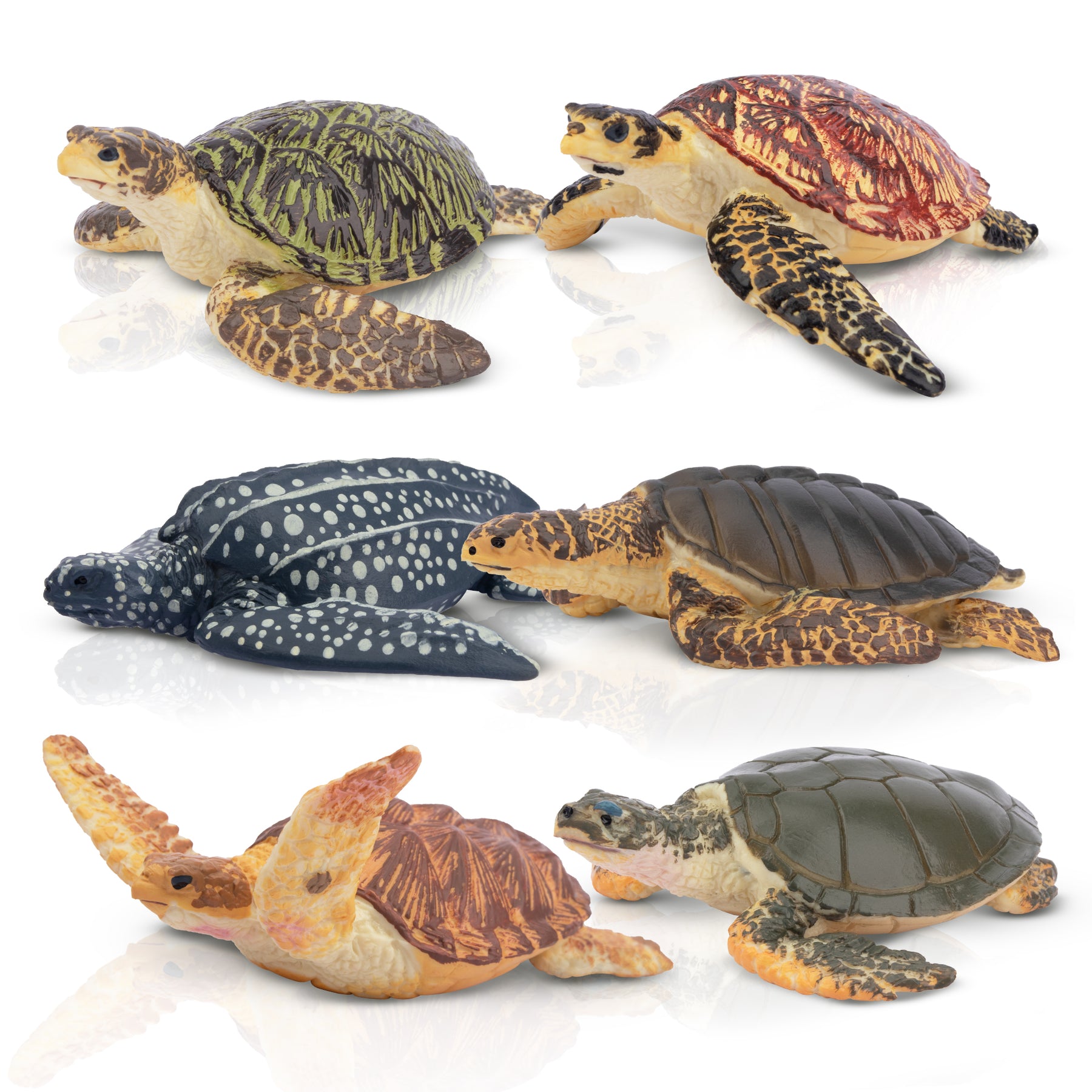 Toymany 6PCS Sea Turtle Figurines Playset | Animal Figurine Toy