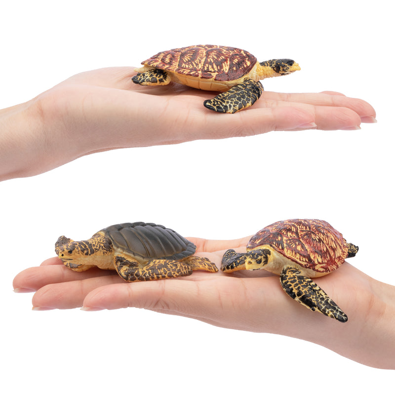 Toymany 6PCS Sea Turtle Figurines Playset | Animal Figurine Toy