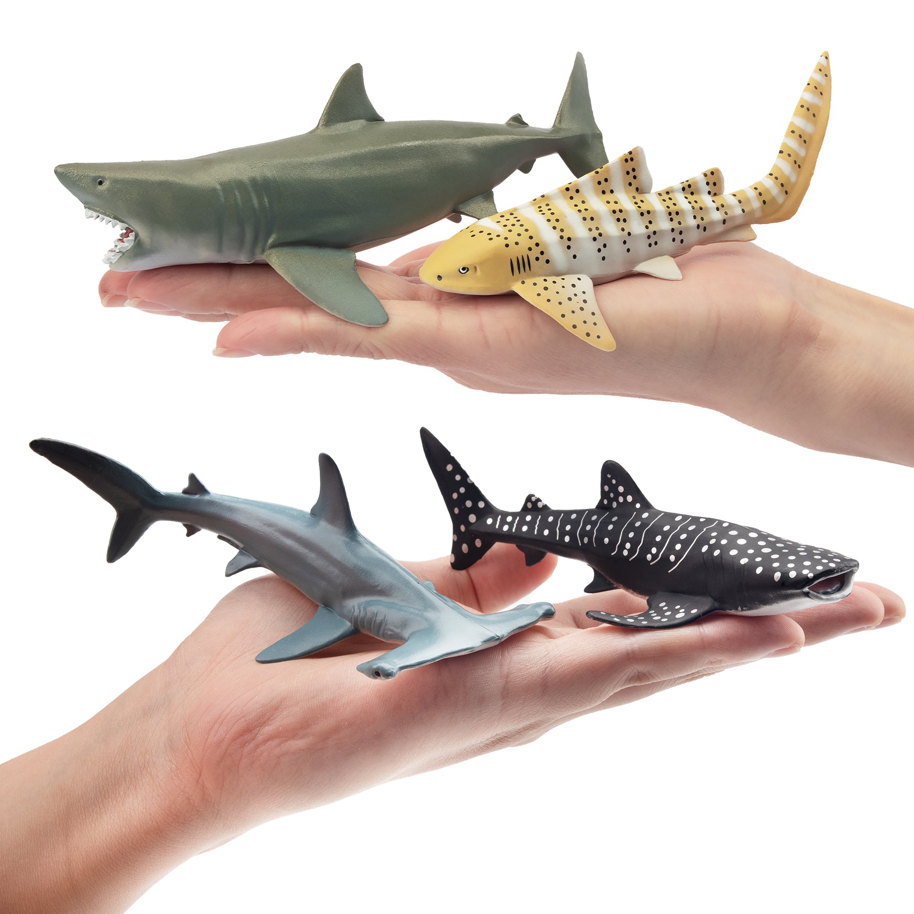 Toymany 6PCS Shark Figurines Playset | Animal Figurine Toy