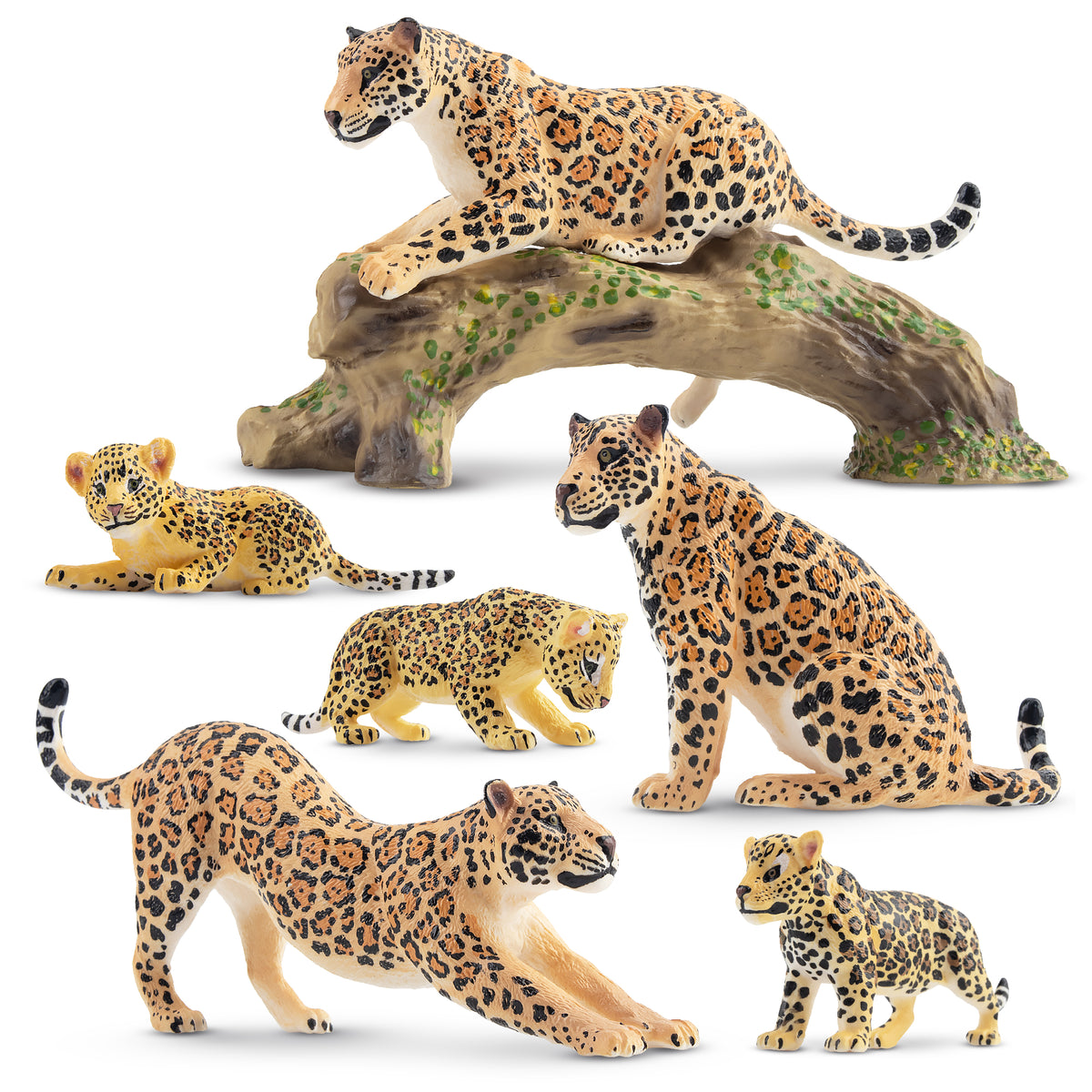 Toymany Wildlife Treasures - Exquisite Wildlife Animal Figurines