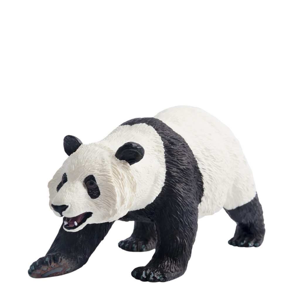 Toymany Animal Educational Resources | Wild Animal Figurines