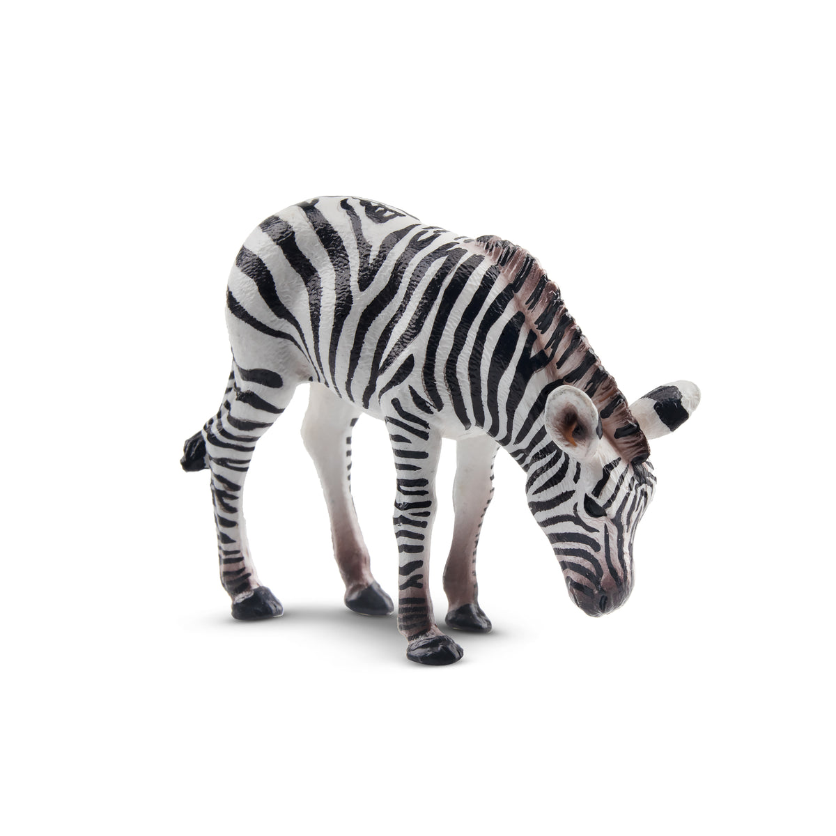 Toymany Animal Figurines Collection | Educational Toys for Children