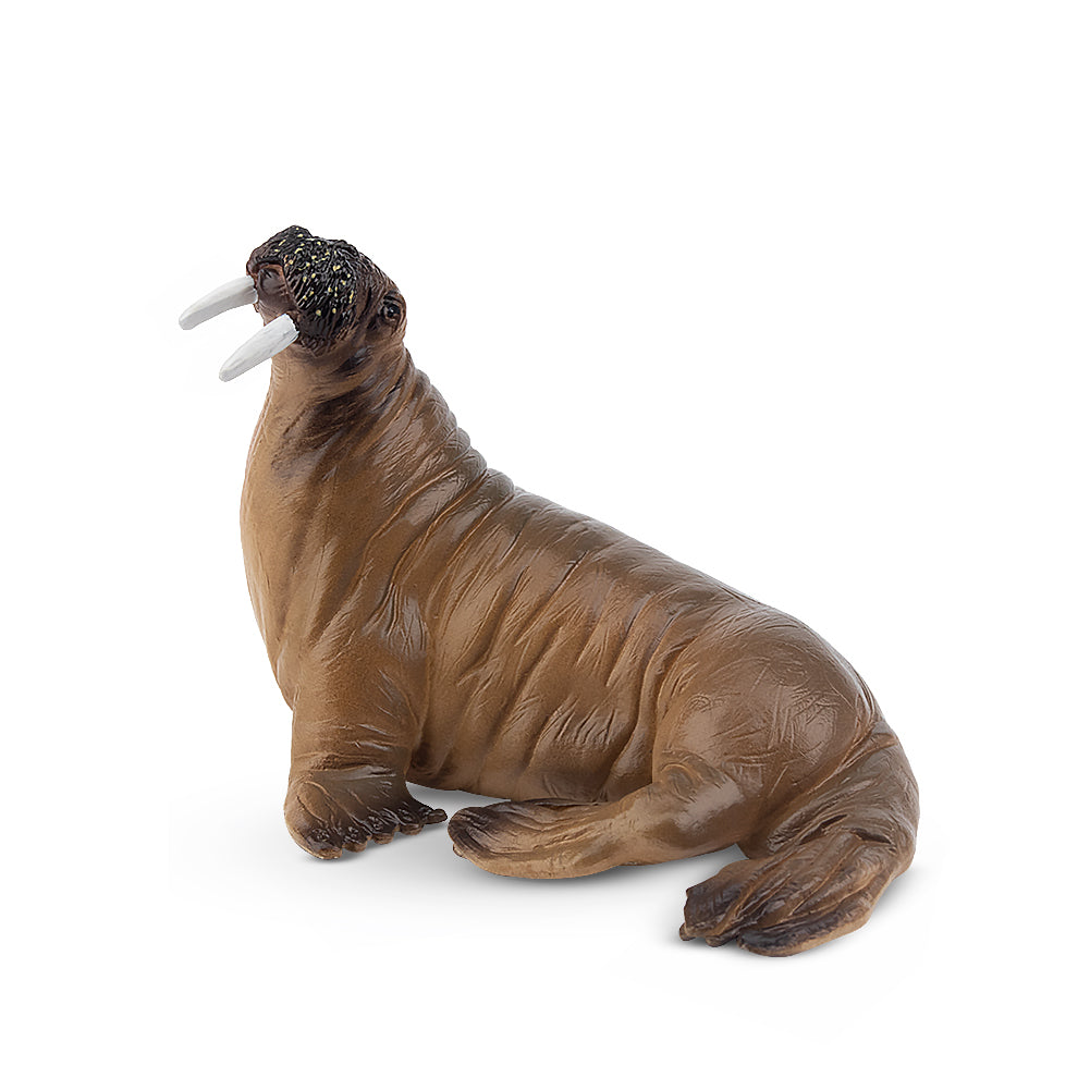 Toymany Walrus Figurine | Realistic Animal Figurine Toy