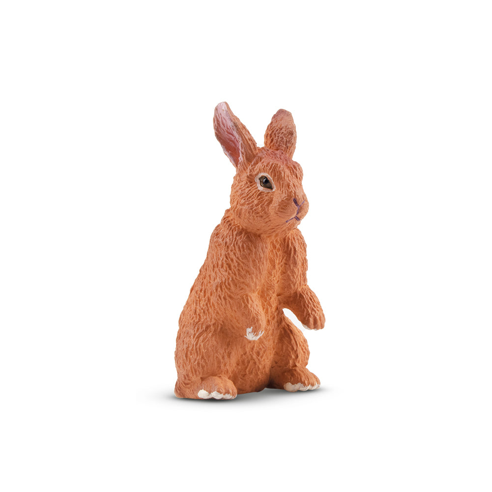 Toymany New Zealand Rabbit | Realistic Animal Figurine Toy