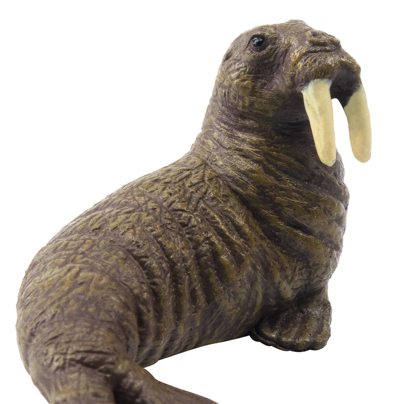 Toymany Arctic Walrus Figurine | Realistic Animal Figurine Toy