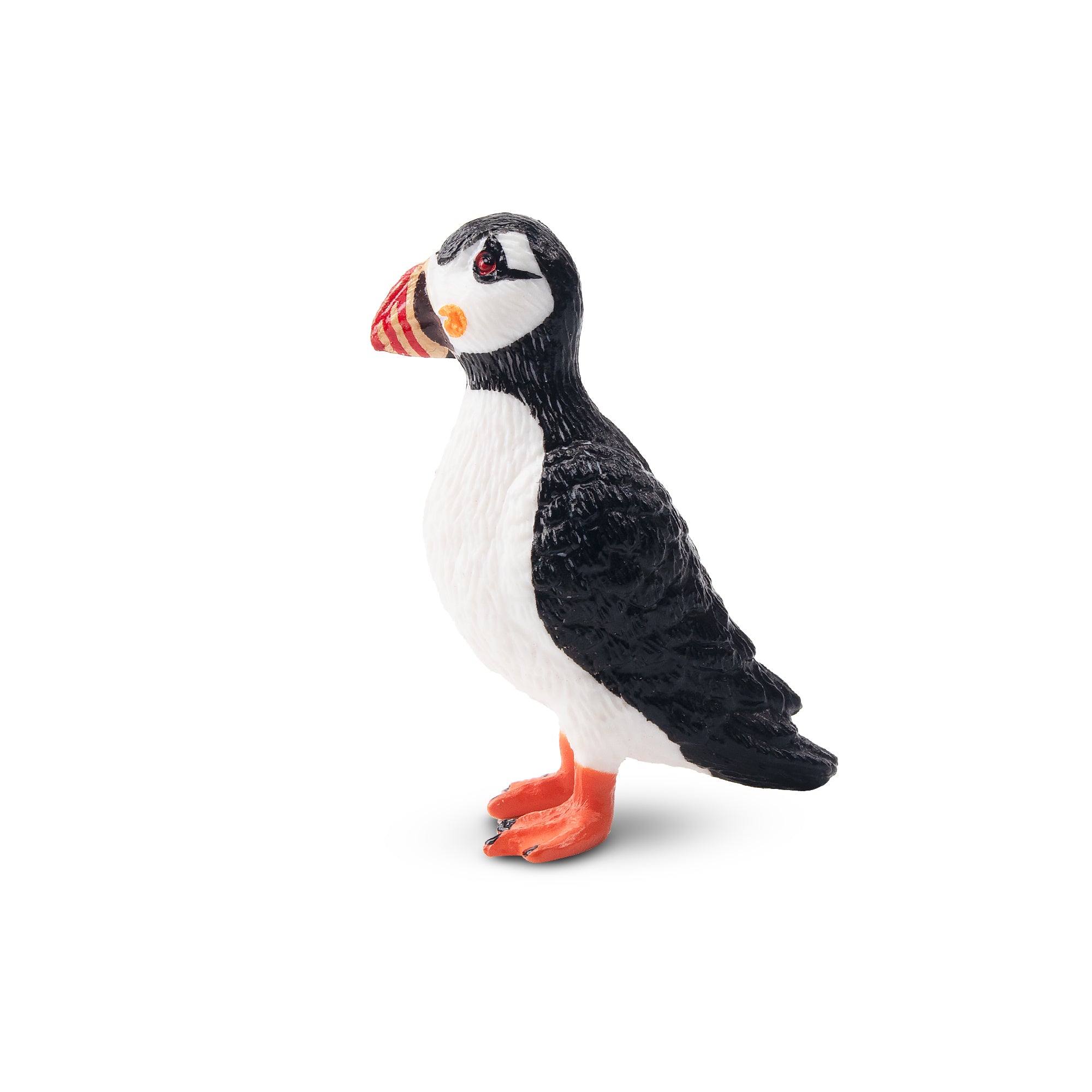 Toymany Atlantic Puffin Figurine | Realistic Animal Figurine Toy