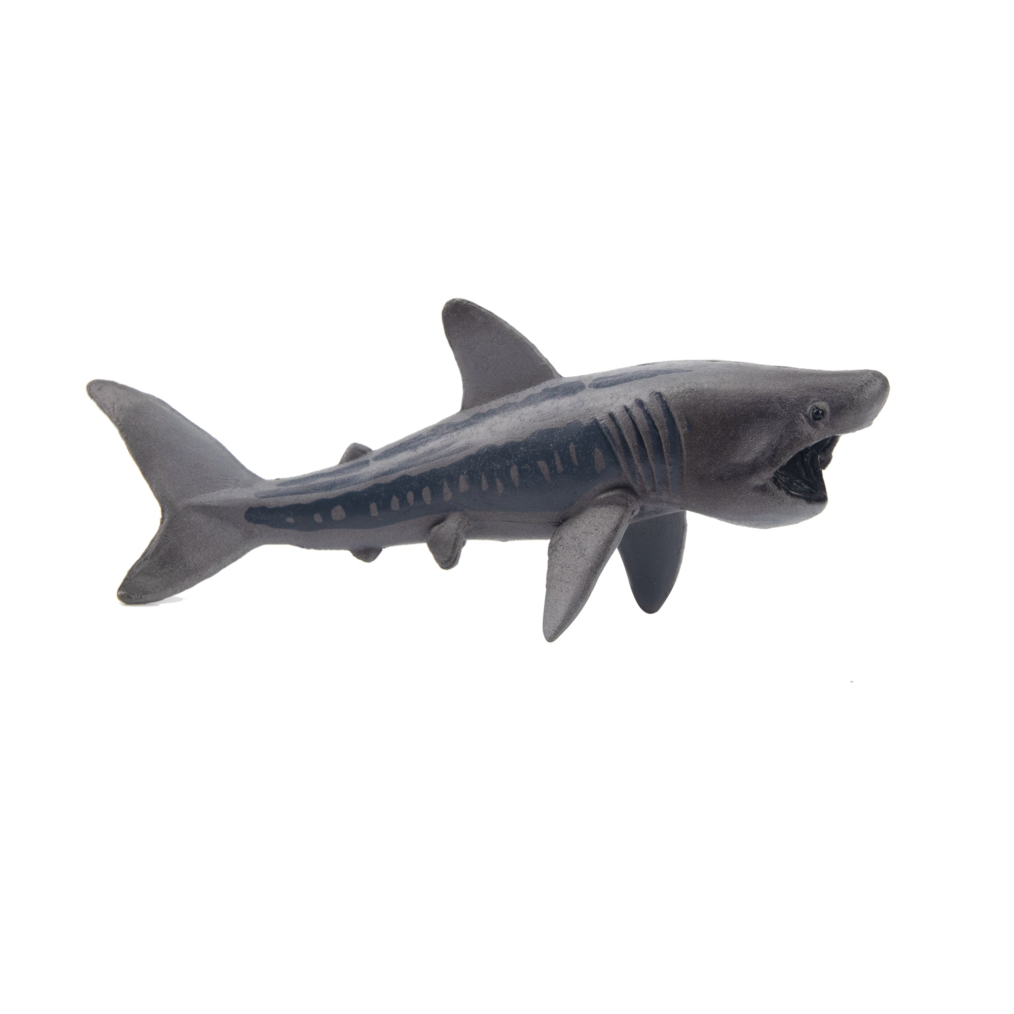 Toymany Basking Shark Figurine | Realistic Animal Figurine Toy