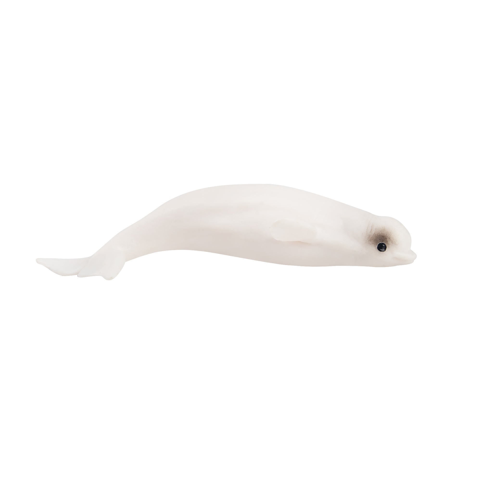 Toymany Beluga Figurine | Realistic Animal Figurine Toy