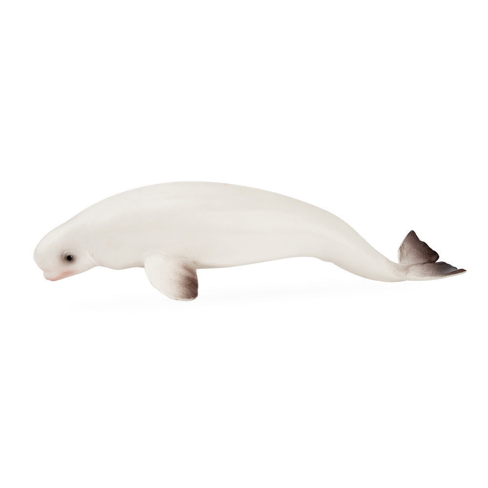 Toymany Beluga Whale Figurine | Realistic Animal Figurine Toy