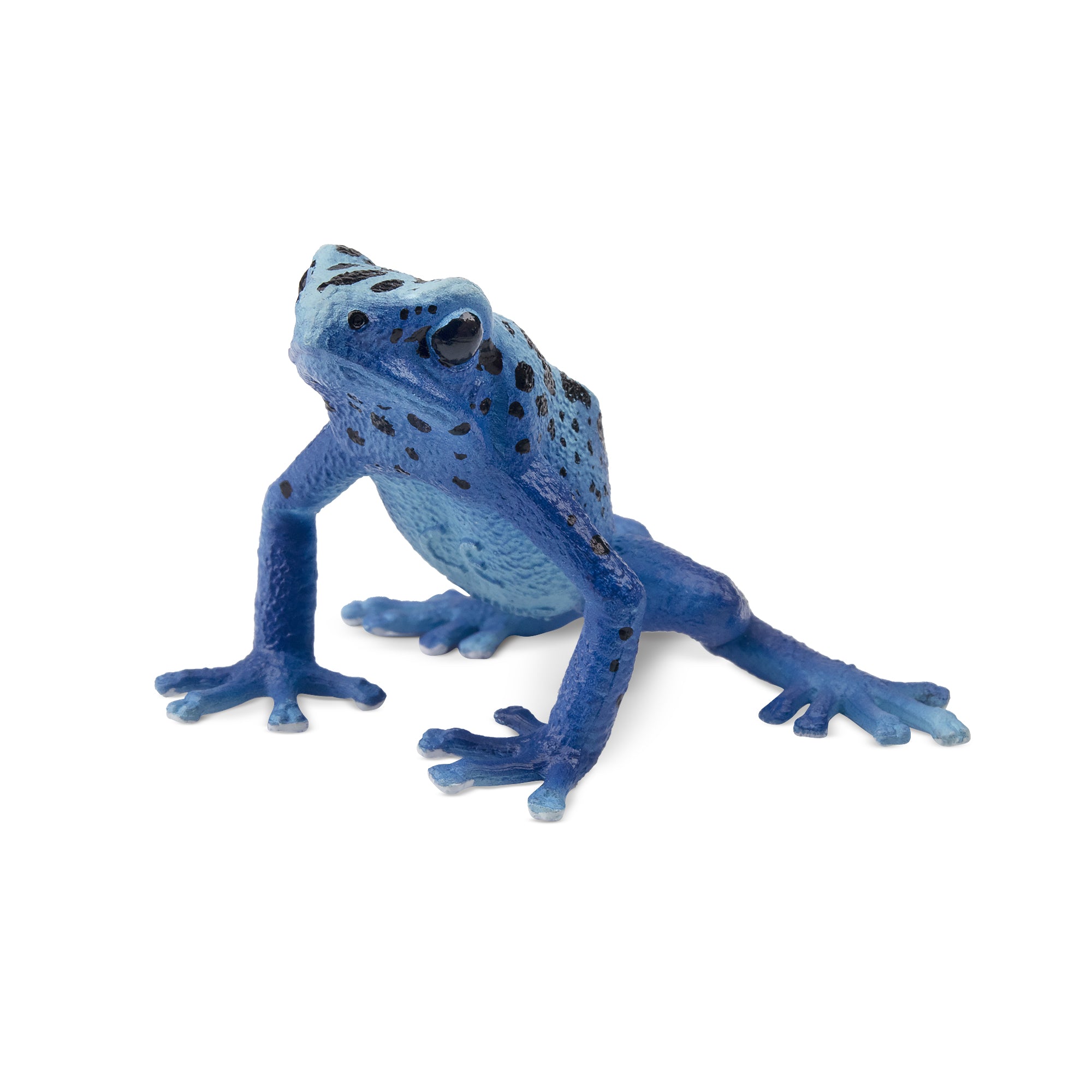 Toymany Blue Poison-Dart Frog | Realistic Animal Figurine Toy
