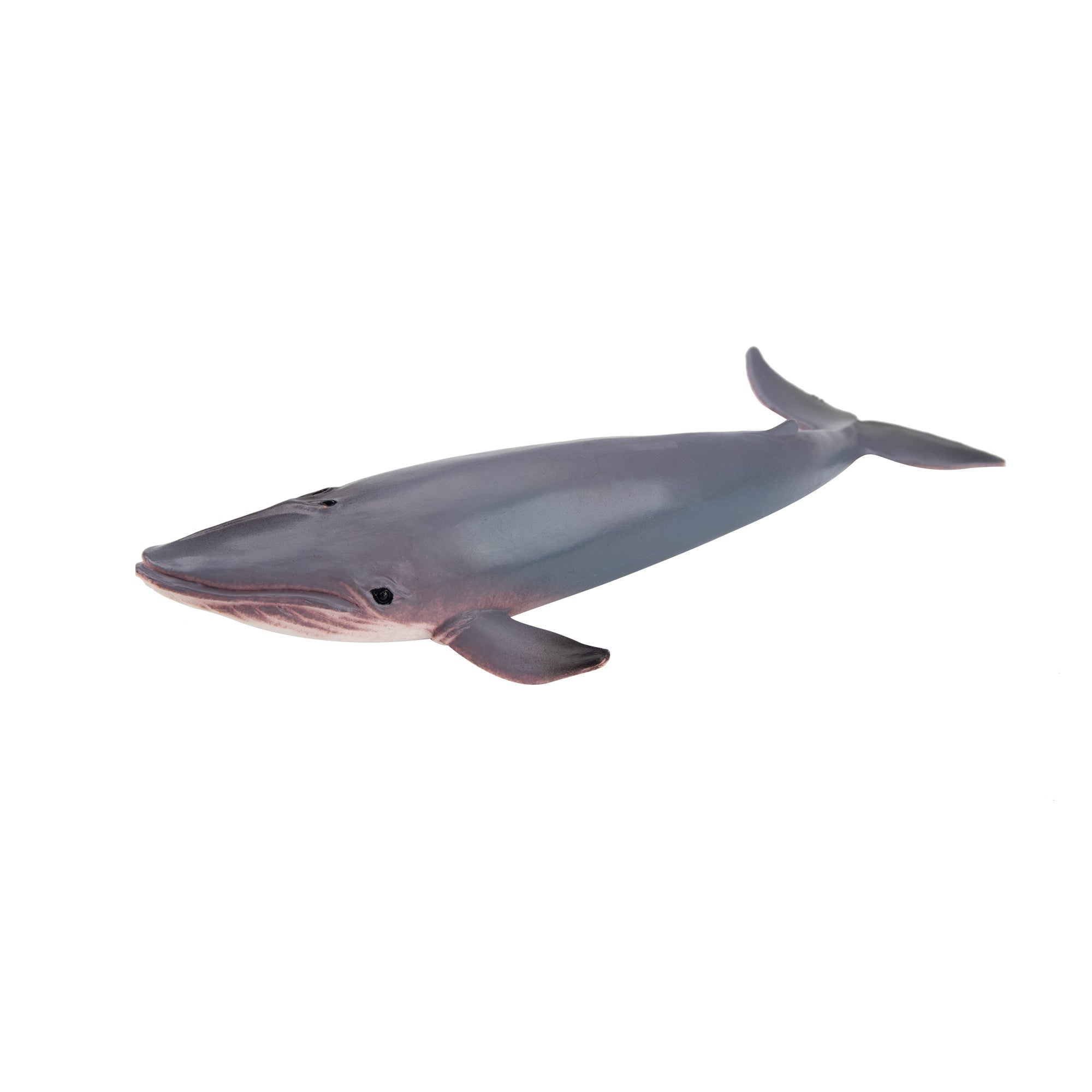 Toymany Blue Whale Figurine | Realistic Animal Figurine Toy