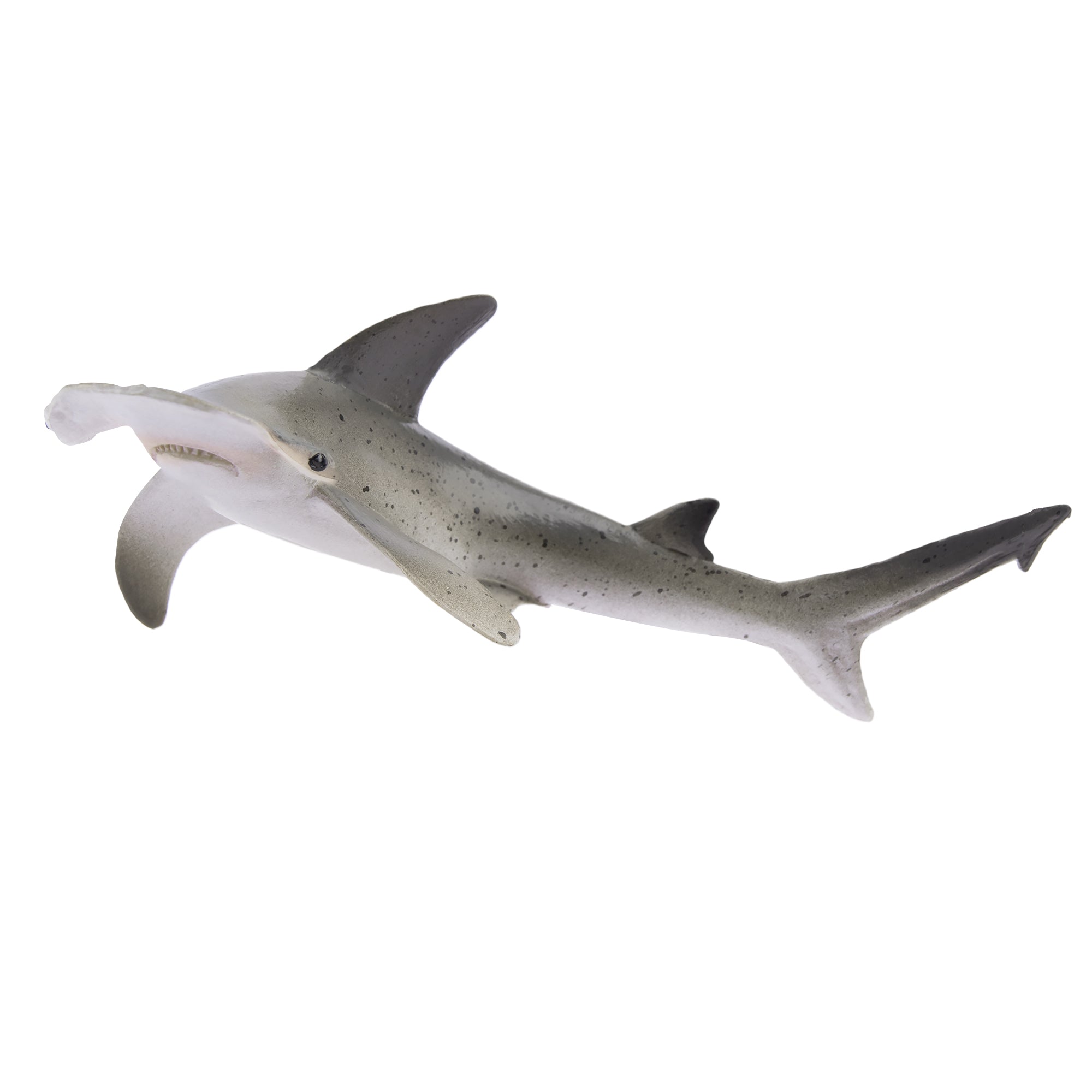 Toymany Bonnethead Hammerhead Shark Figurine | Animal Figurine Toy
