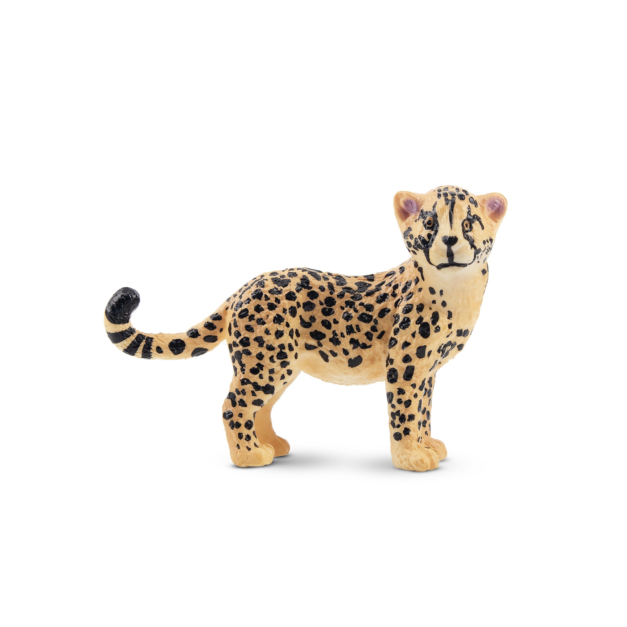 Toymany Glancing Cheetah Cub Figurine | Realistic Animal Figurine Toy