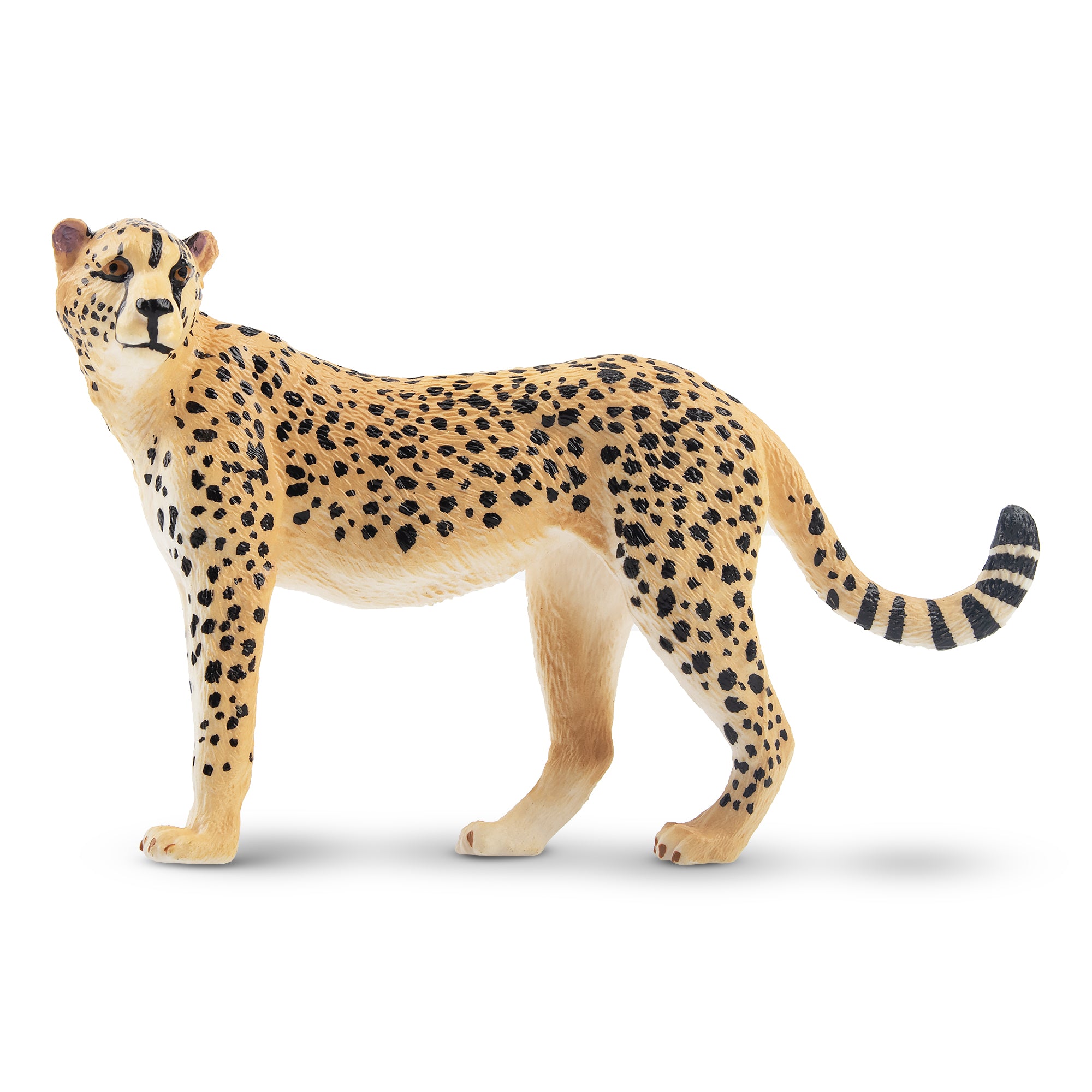Toymany Standing Cheetah Figurine | Realistic Animal Figurine Toy