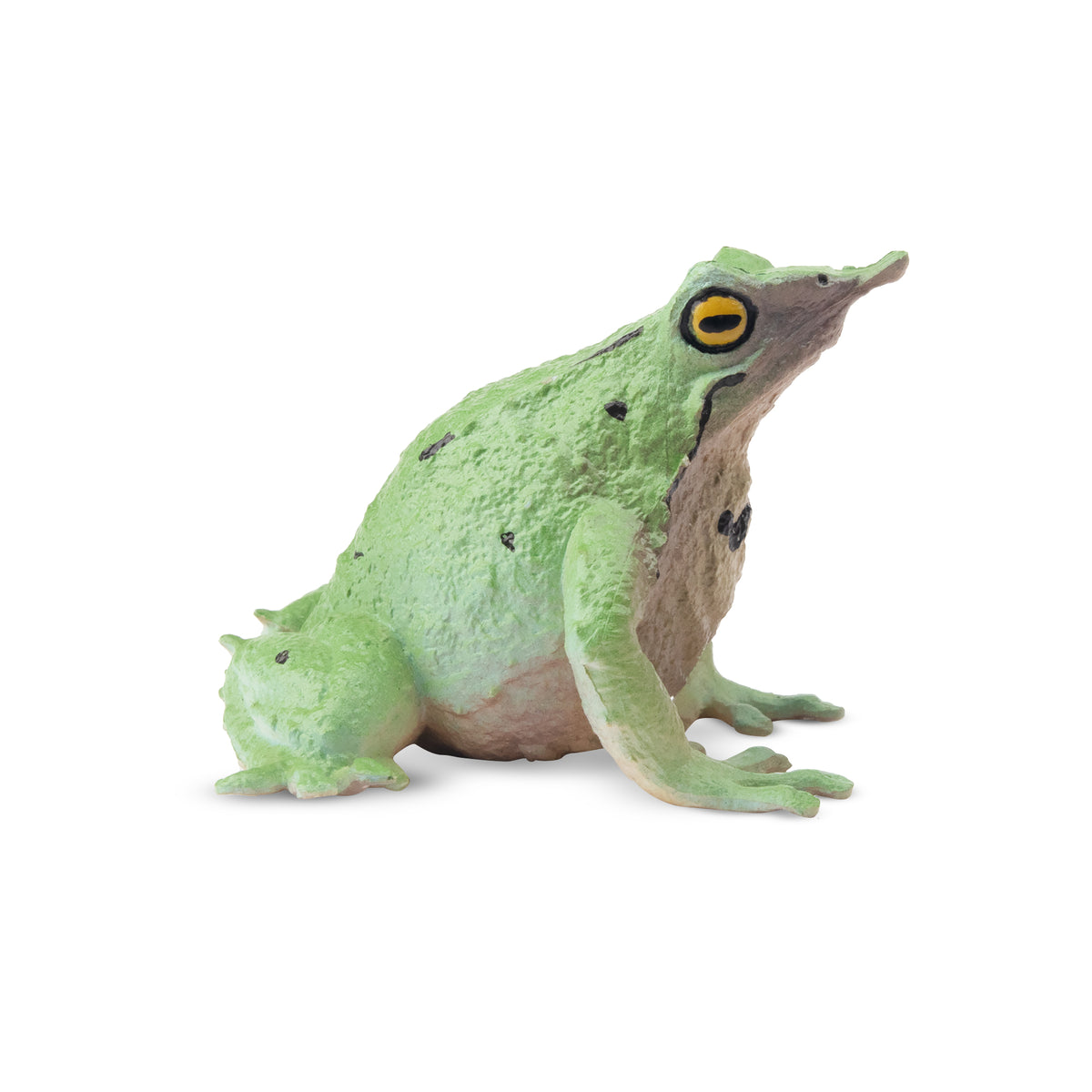 Toymany Darwin's Frog | Realistic Animal Figurine Toy