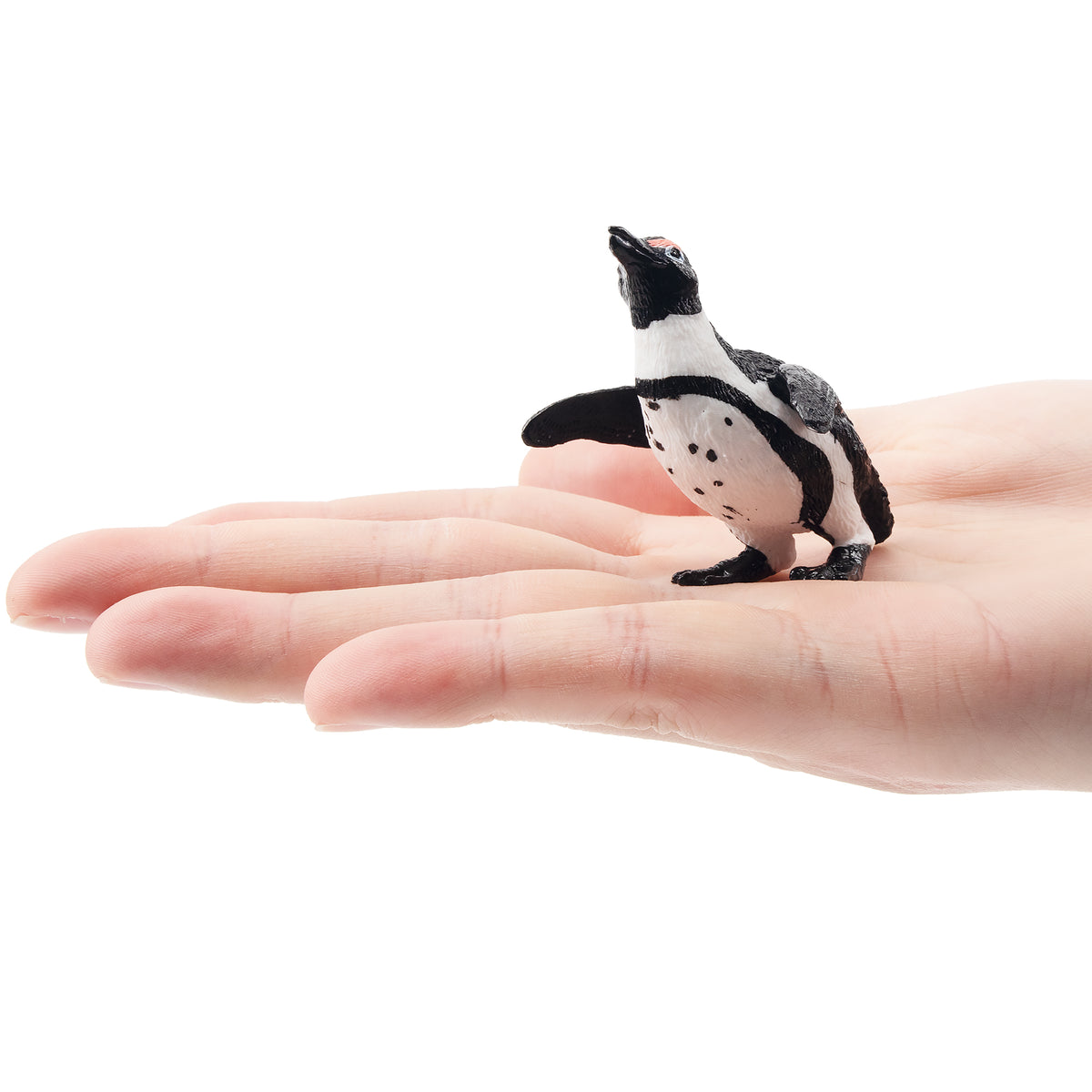 Toymany Jackass Penguin Figurine | Realistic Animal Figurine Toy