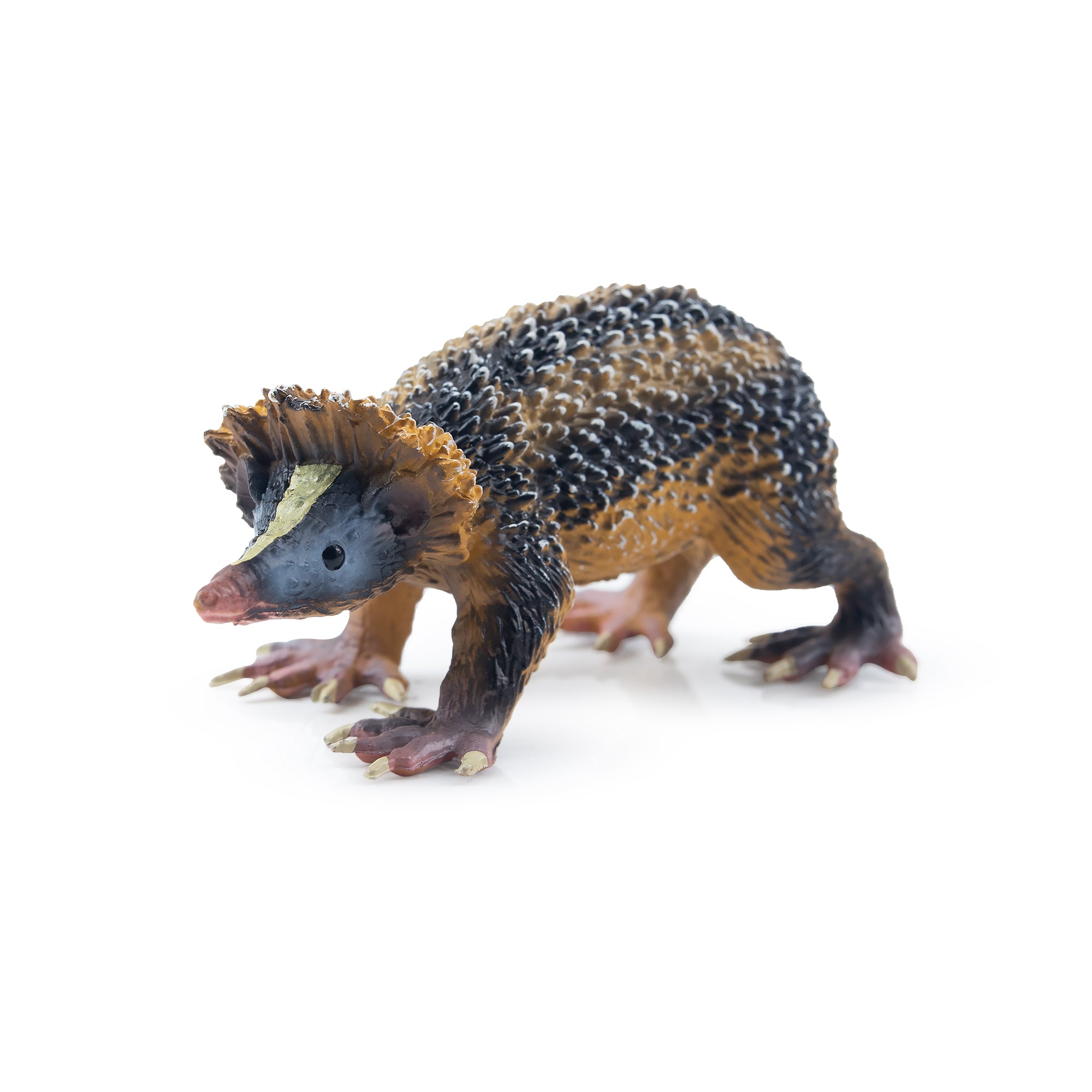 Toymany Tenrec Rayado de Tierras Bajas | Juguete de figura animal realista