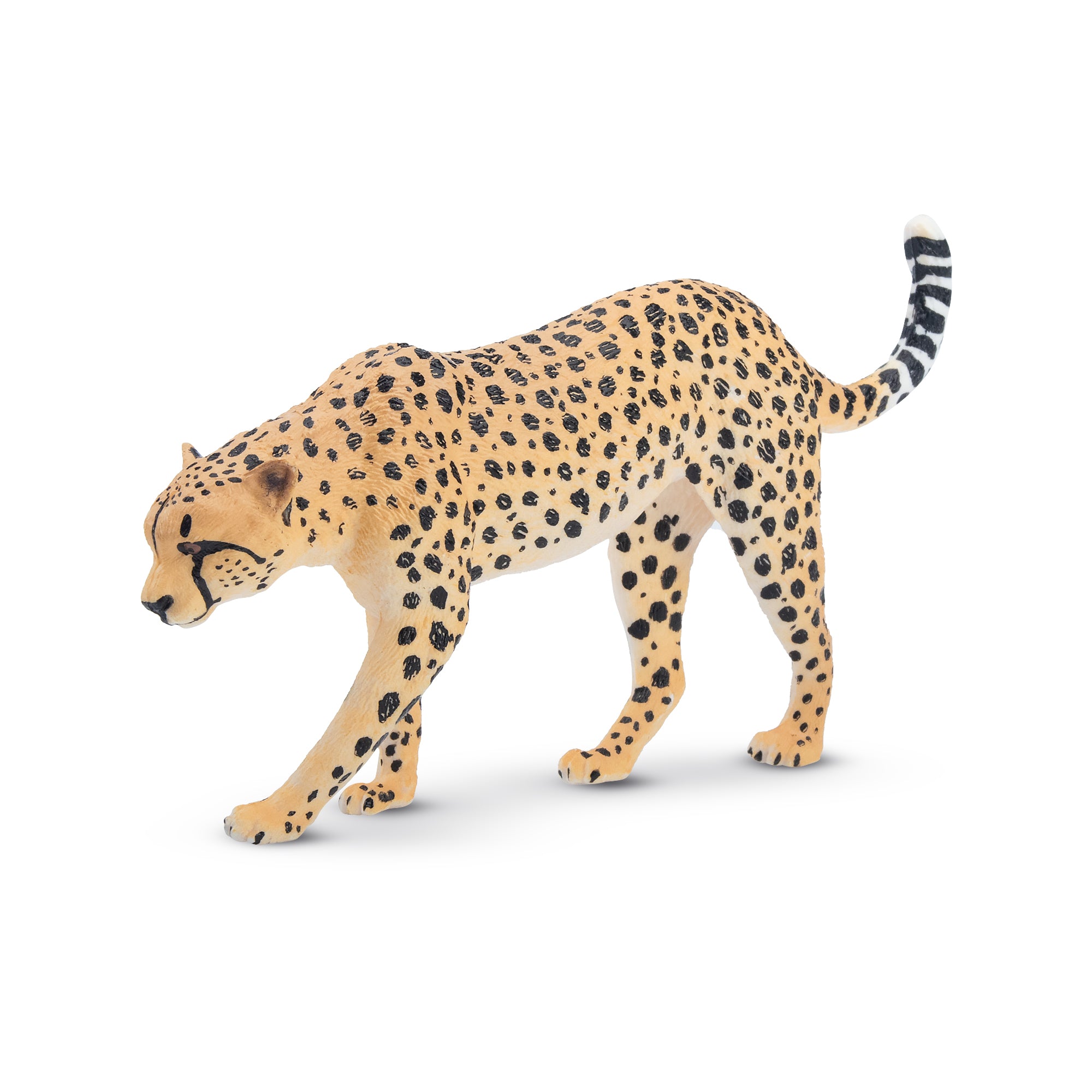 Toymany Male Cheetah | Realistic Animal Figurine Toy