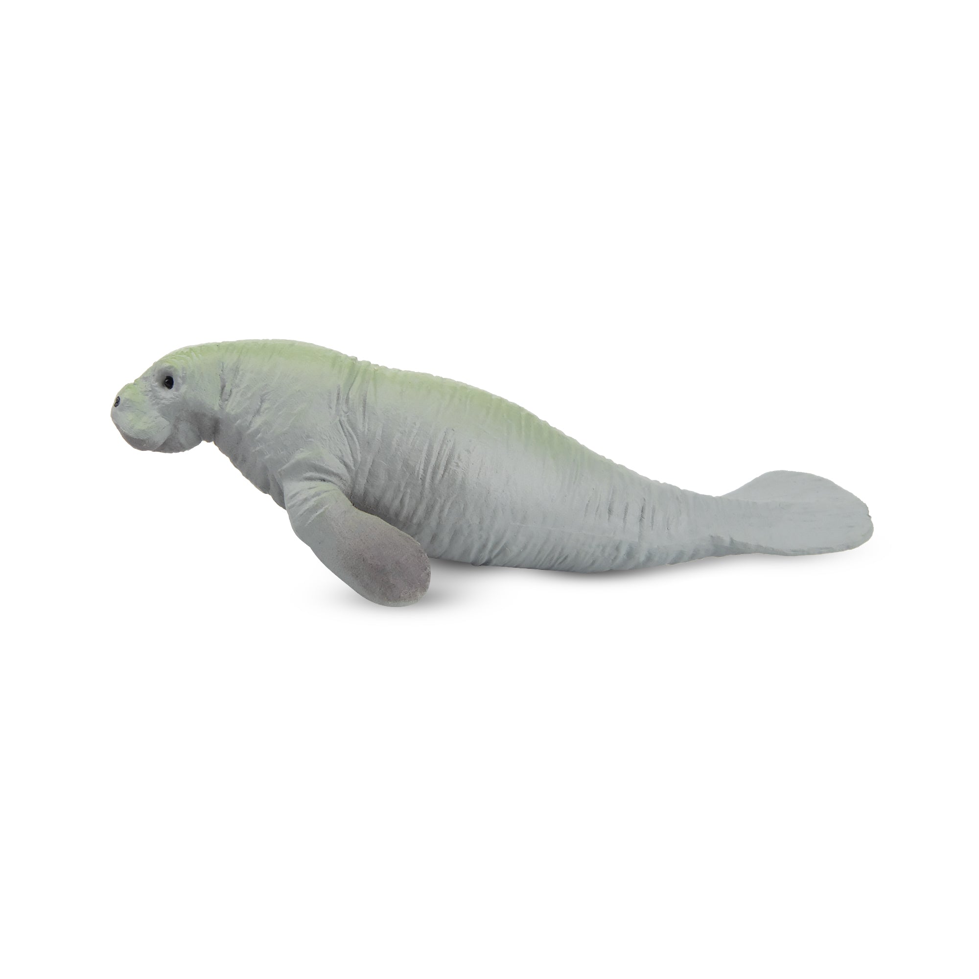 Toymany Manatee Figurine | Realistic Animal Figurine Toy