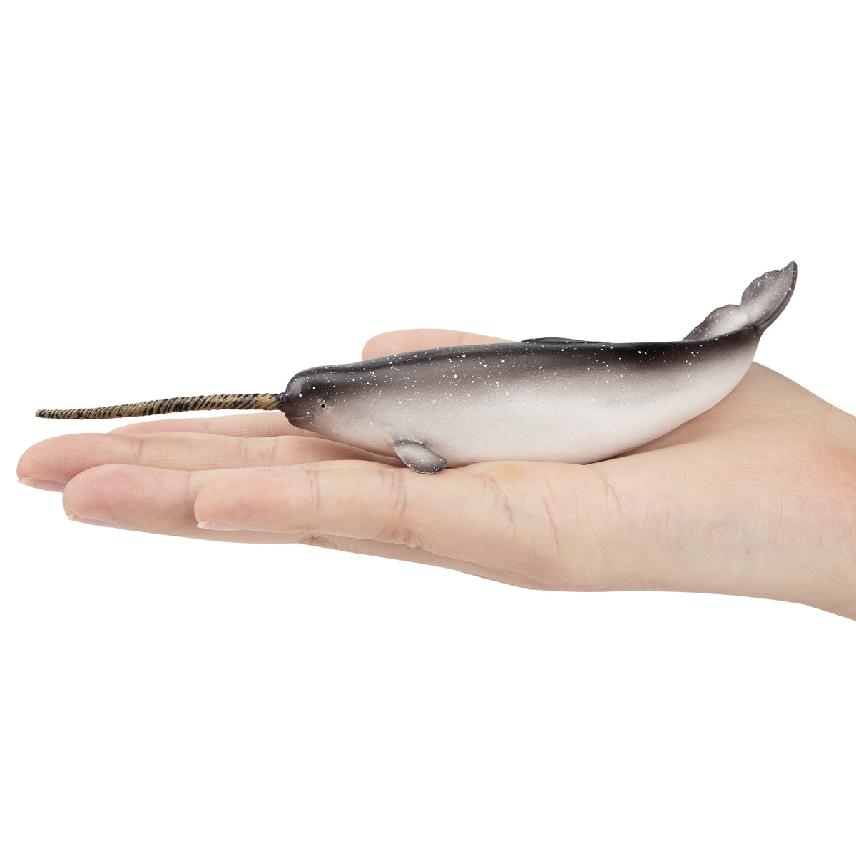 Toymany Narwhal Figurine | Realistic Animal Figurine Toy