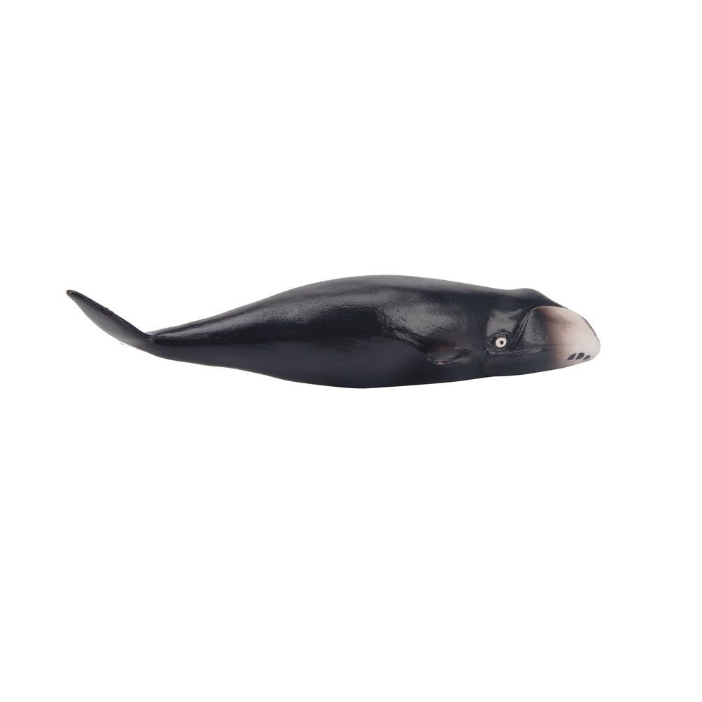Toymany Bowhead Whale | Realistic Animal Figurine Toy