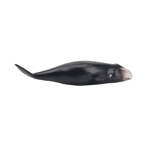 Toymany Bowhead Whale | Realistic Animal Figurine Toy