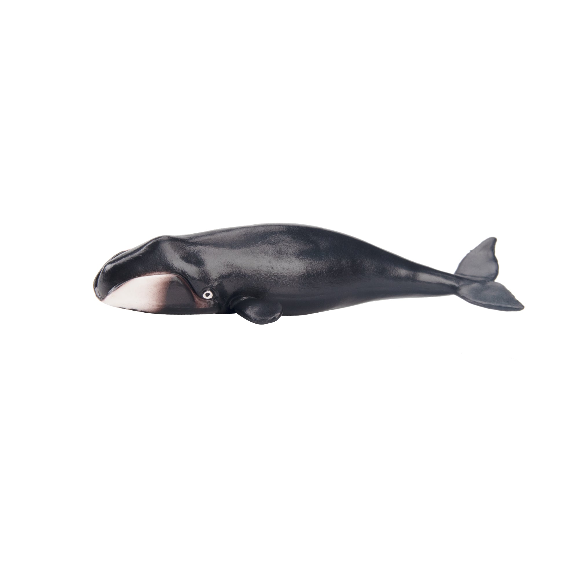 Toymany Bowhead Whale | Realistic Animal Figurine Toy