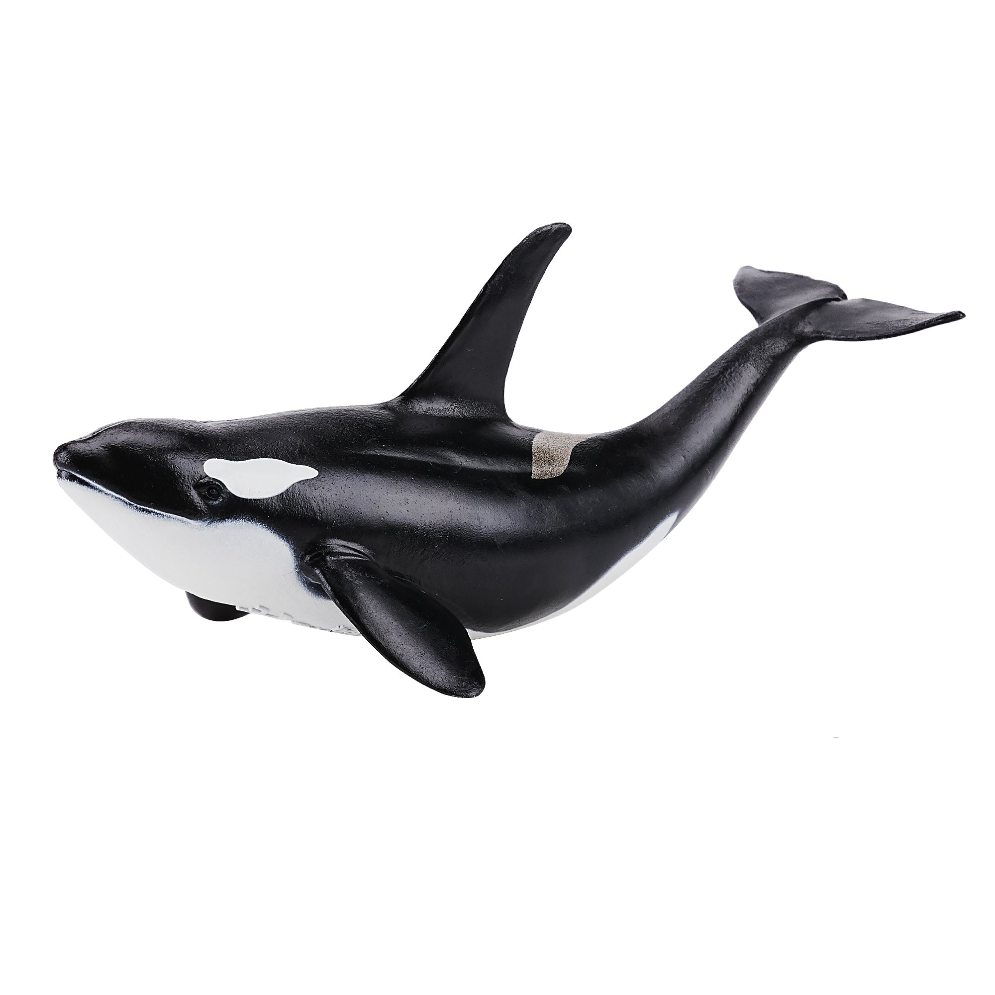Toymany Orca Figurine | Realistic Animal Figurine Toy