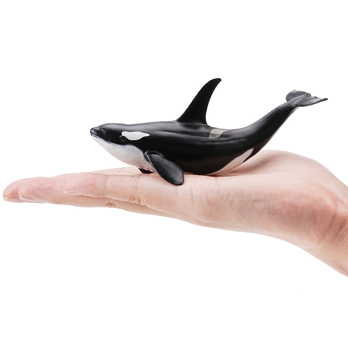 Toymany Orca Figurine | Realistic Animal Figurine Toy