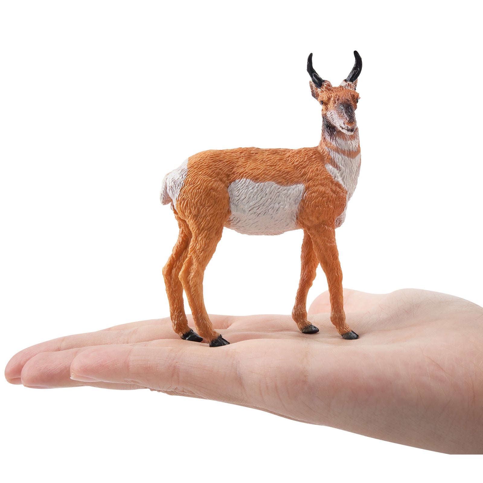 Toymany Pronghorn Figurine | Counting Canine Fun