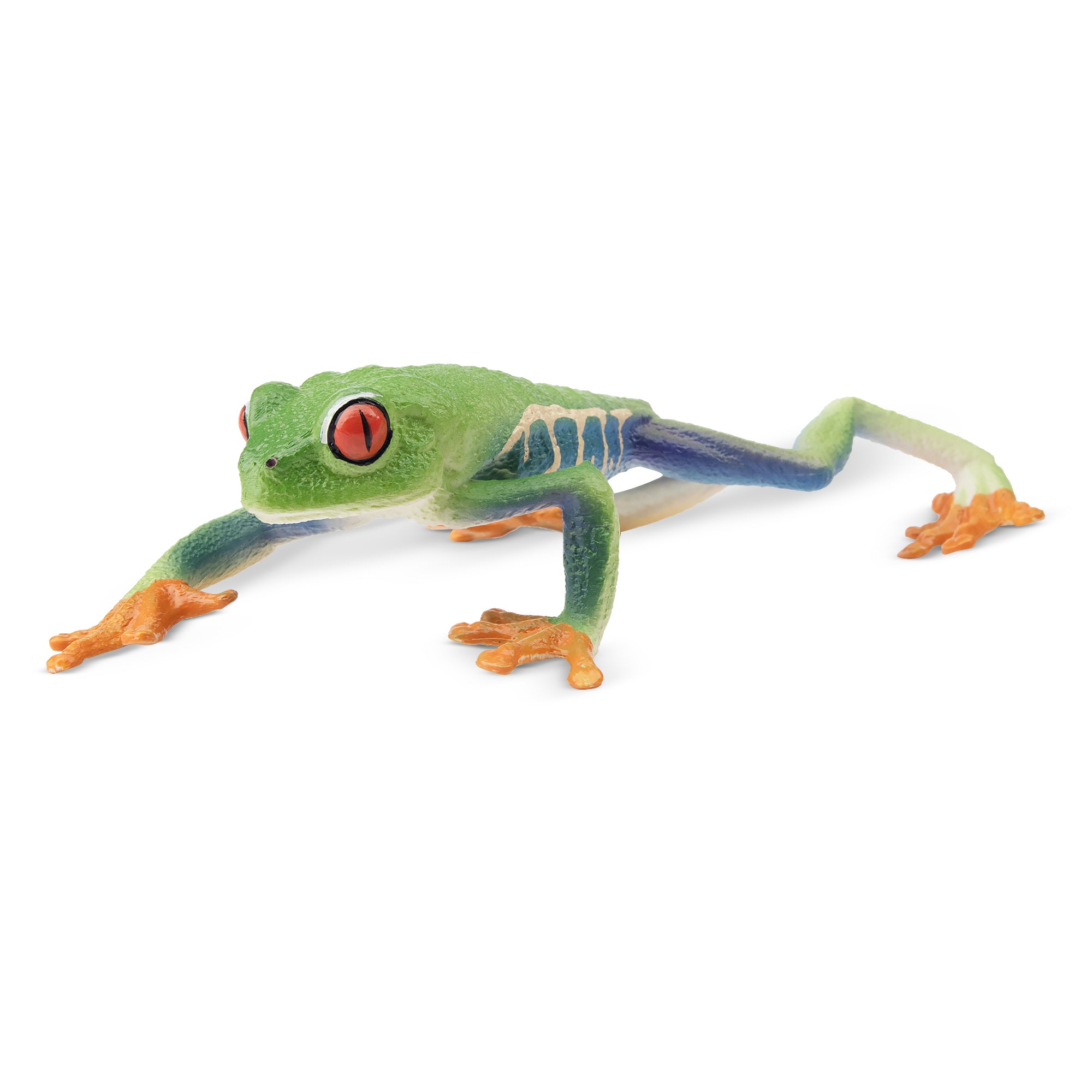Toymany Red-eyed Tree Frog | Realistic Animal Figurine Toy