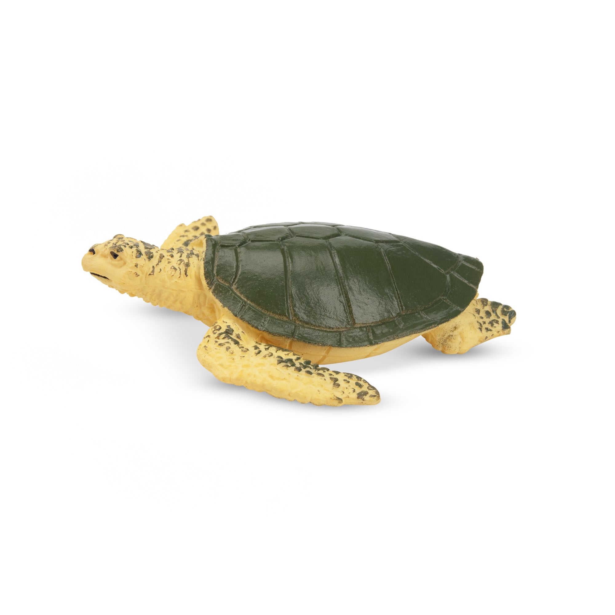 Toymany Sea Turtle Figurine | Realistic Animal Figurine Toy