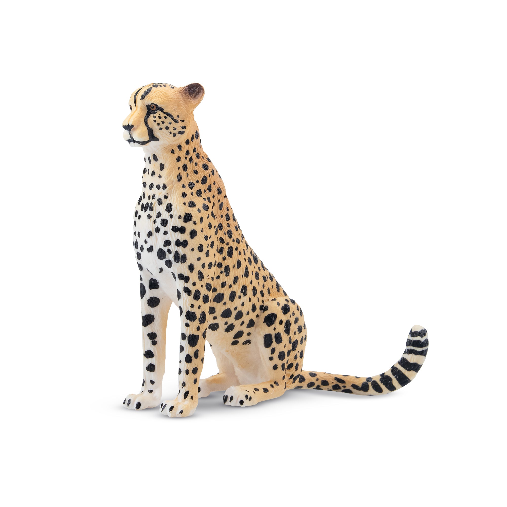 Toymany Sitting Female Cheetah | Realistic Animal Figurine Toy