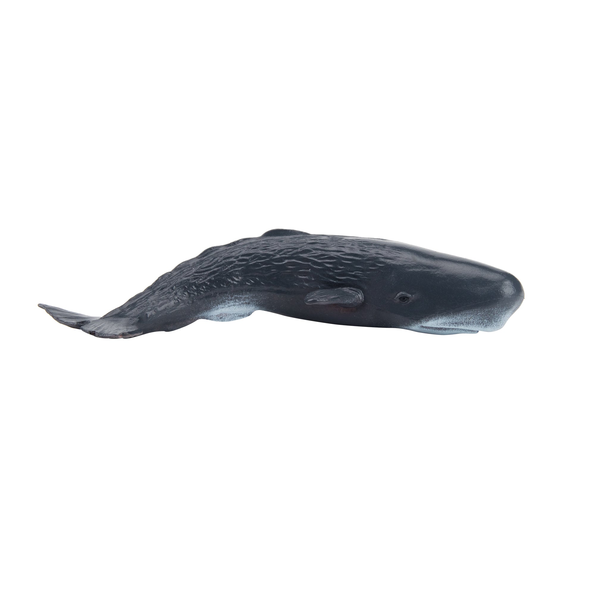 Toymany Sperm Whale Figurine | Realistic Animal Figurine Toy
