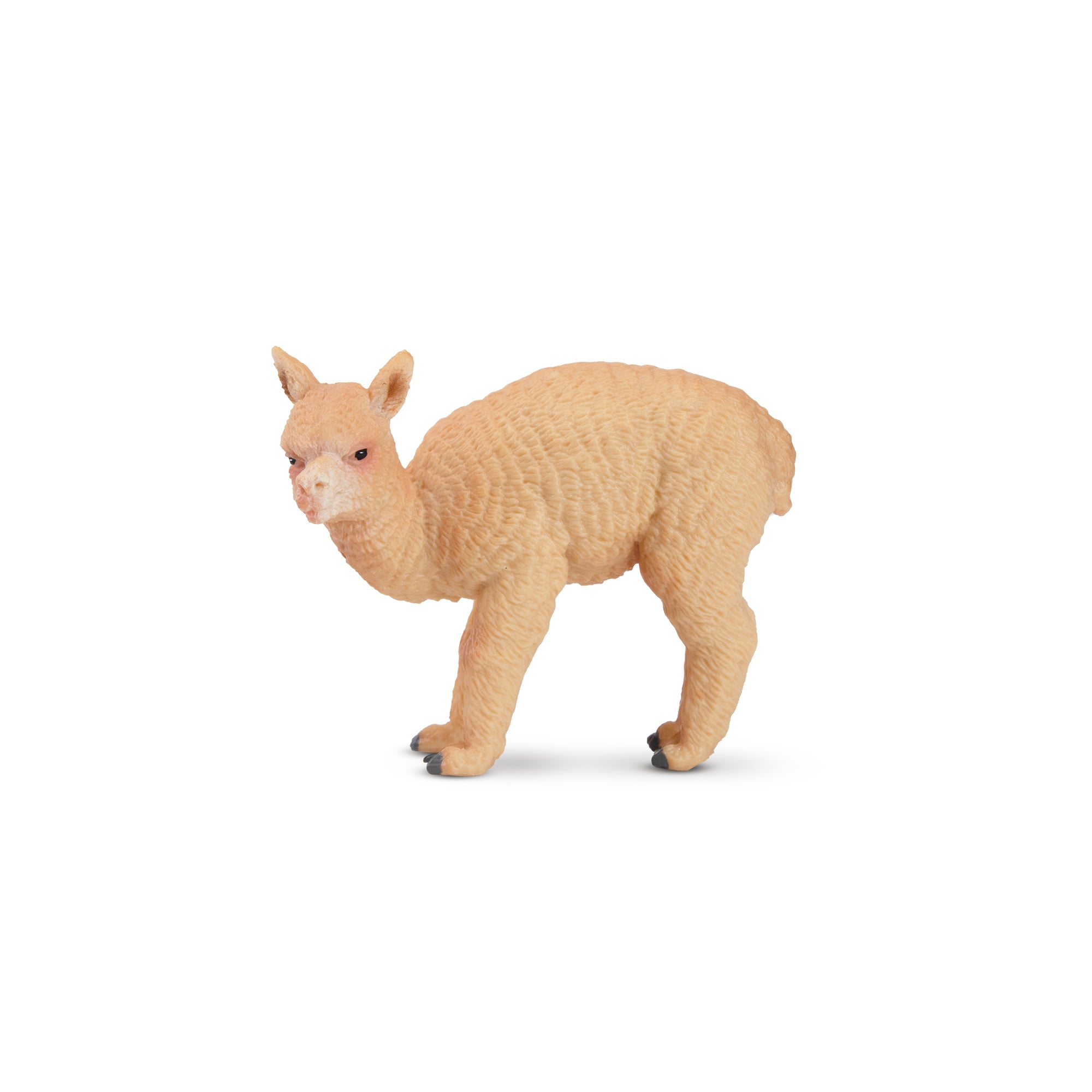 Toymany Standing Alpaca Baby Figurine | Realistic Animal Figurine