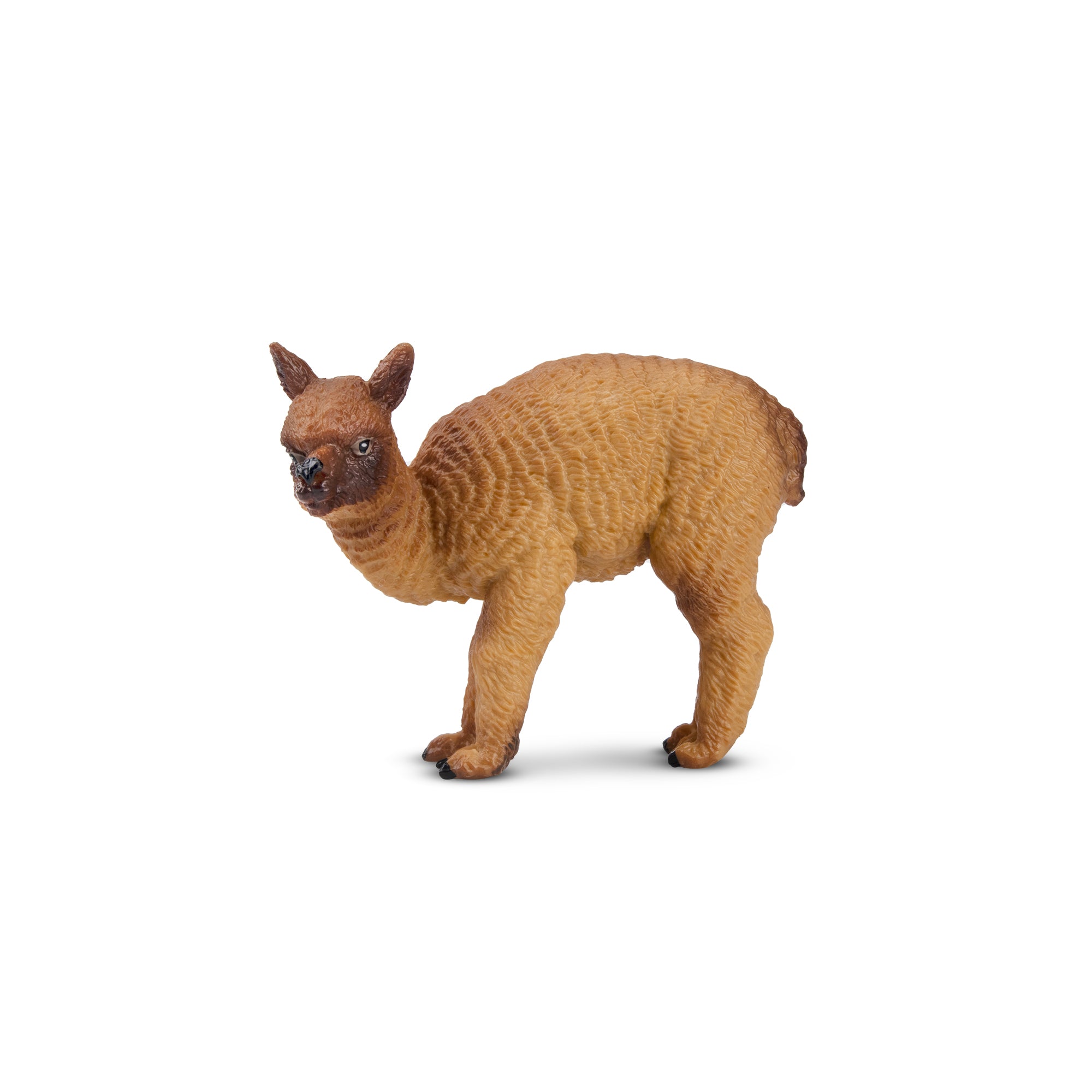 Toymany Standing Brown Alpaca Baby | Realistic Animal Figurine