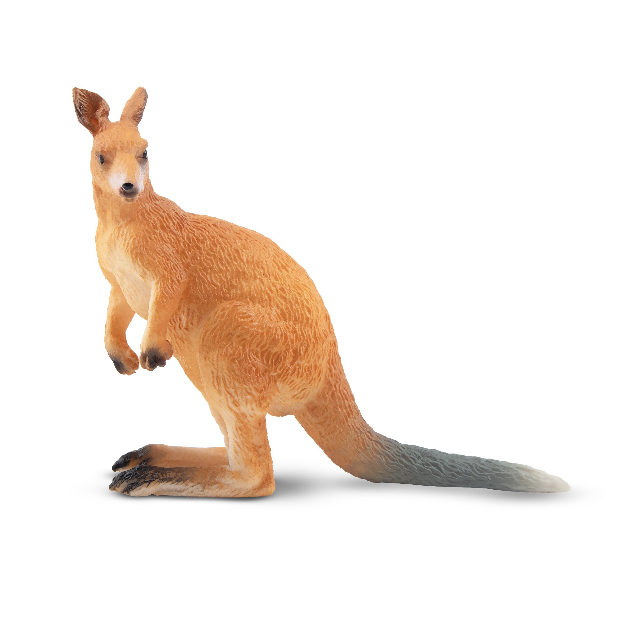 Toymany Standing Kangaroo Figurine | Realistic Animal Figurine Toy