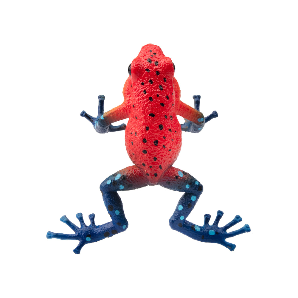 Toymany Strawberry Poison-Dart Frog | Realistic Animal Figurine Toy