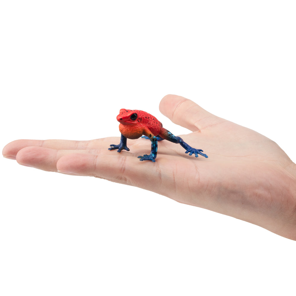 Toymany Strawberry Poison-Dart Frog | Realistic Animal Figurine Toy