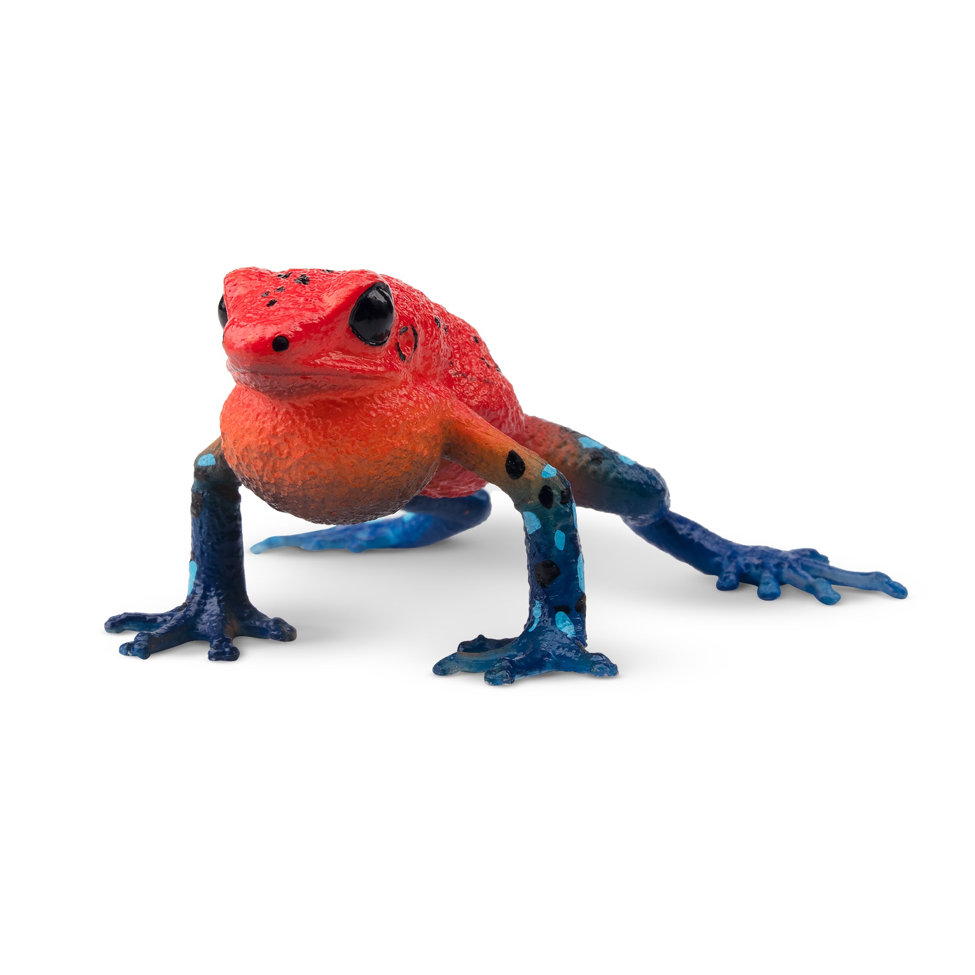 Toymany Strawberry Poison-Dart Frog | Realistic Animal Figurine Toy