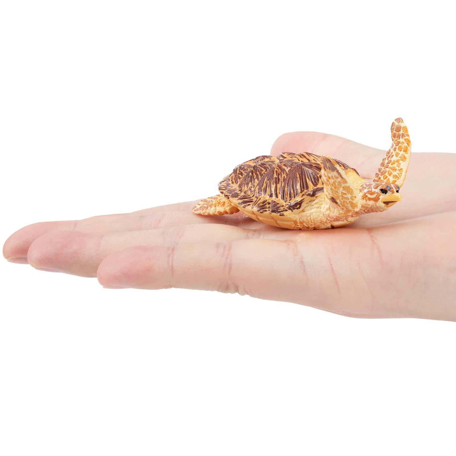 Toymany Hawksbill Sea Turtle Figurine | Realistic Animal Figurine Toy