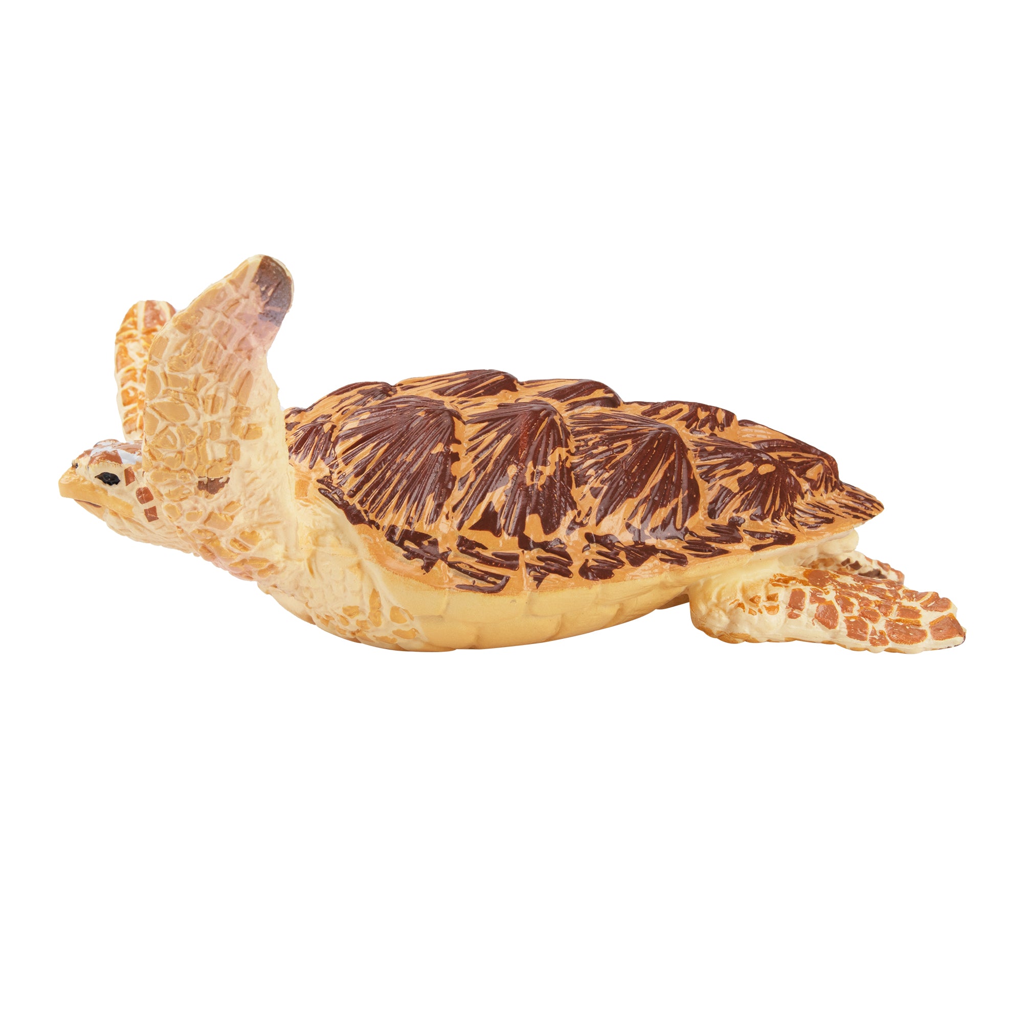 Toymany Hawksbill Sea Turtle Figurine | Realistic Animal Figurine Toy