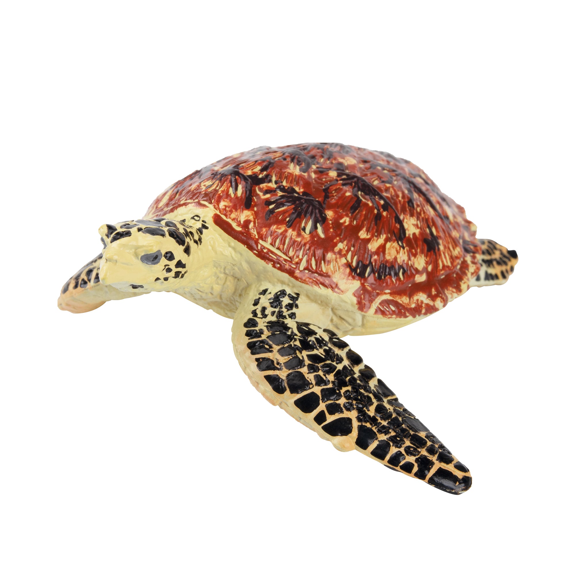 Toymany Hawksbill Sea Turtle Figurine | Realistic Animal Figurine Toy