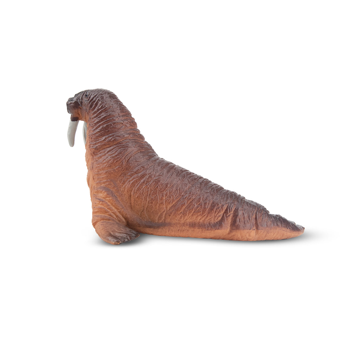 Toymany Walrus Figurine | Realistic Animal Figurine Toy