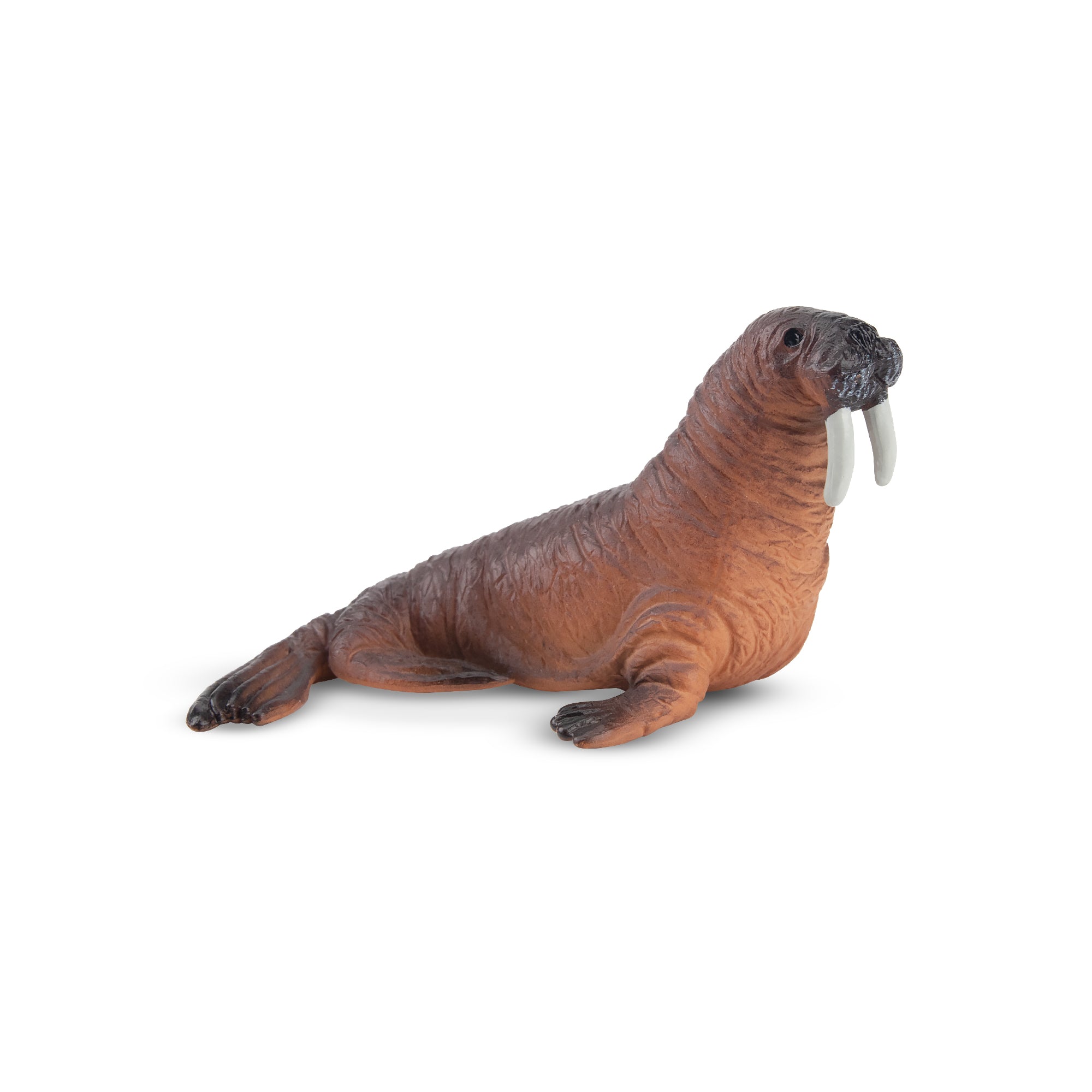 Toymany Walrus Figurine | Realistic Animal Figurine Toy